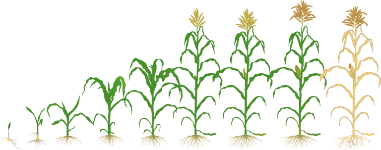 Sampling Packages – Agronomy 365